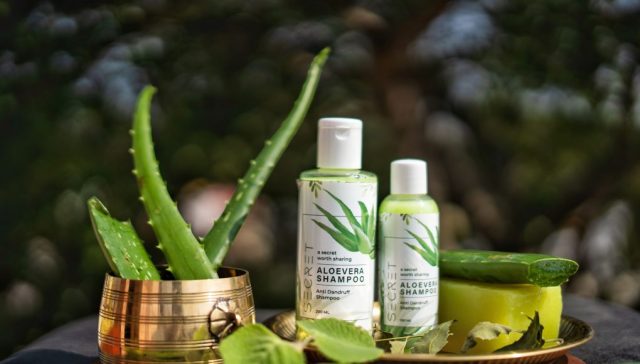 Les meilleurs shampoings naturels en 2021 : La sélection de la ...